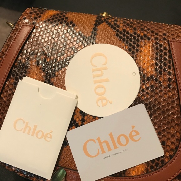 Chloe | Bags | Nile Small Python Bracelet Crossbody Bag | Poshmark